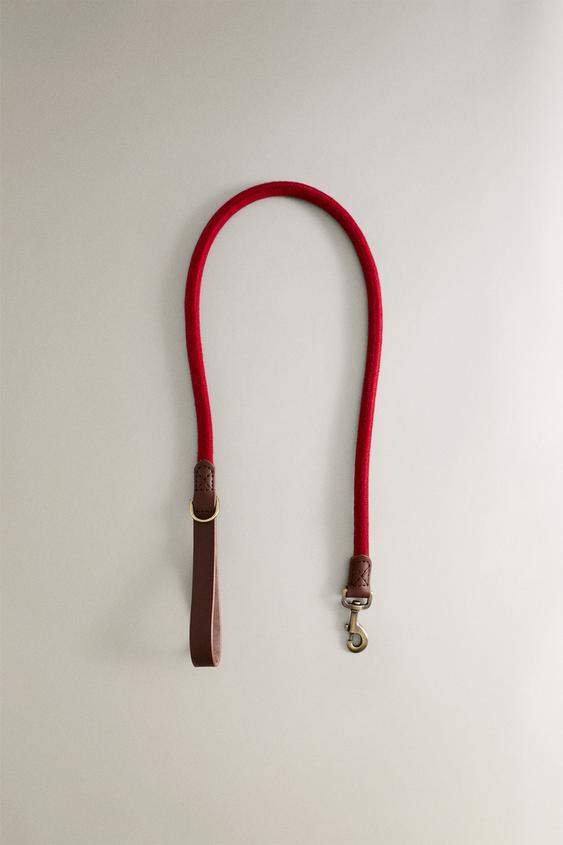LEATHER ROPE DOG LEAD - Red | ZARA United States