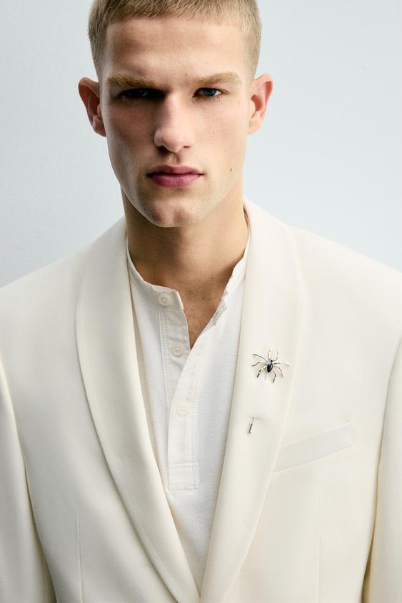 SPIDER METAL PIN - Silver | ZARA United Kingdom