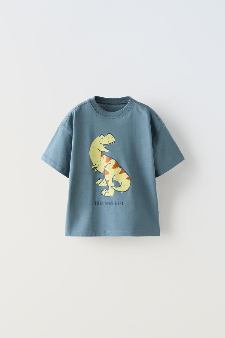 Fish Shirt Zara