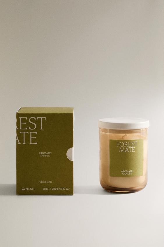 (250 G) FOREST MATE SCENTED CANDLE - Light green | ZARA Ireland