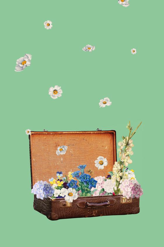 E-GIFT CARD (VIRTUAL) - LIMITED EDITION - Green | ZARA New Zealand