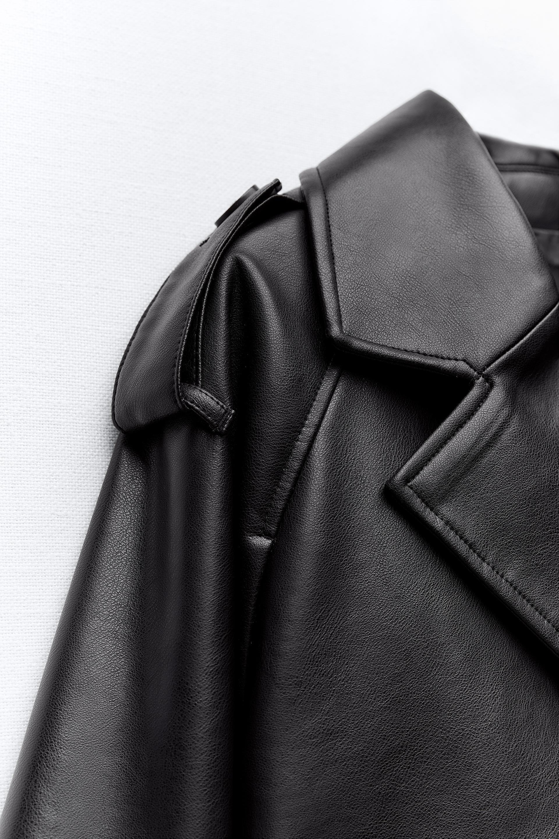 Zara Fort | ppgbbe.intranet.biologia.ufrj.br