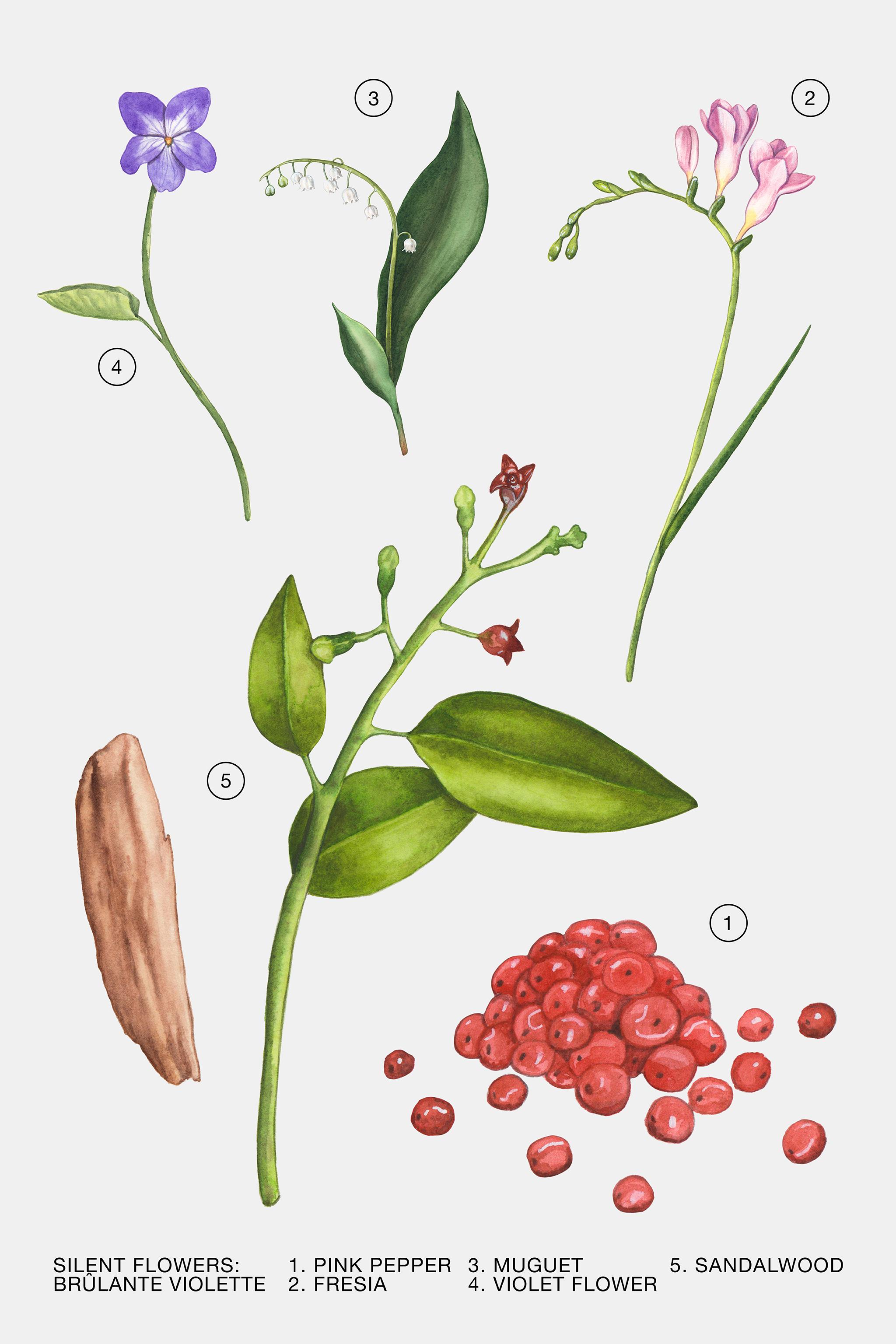 Zara SILENT FLOWERS BRÛLANTE VIOLETTE PARFUM 100 ML (3.4 FL. OZ) | Mall of America®